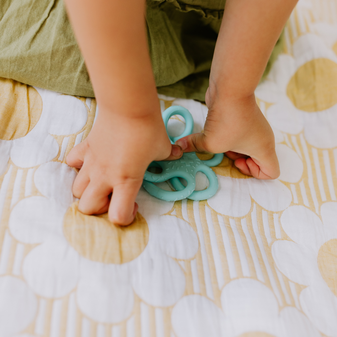 2 Pack Sensory Ball & Fidget Ball | Jellystone Designs