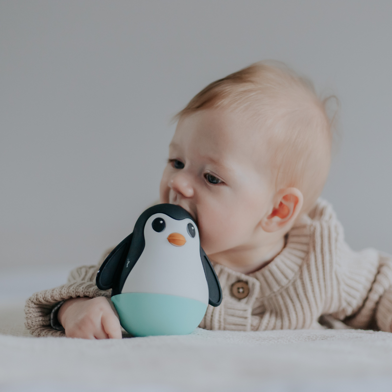 Penguin Wobble | Jellystone Designs